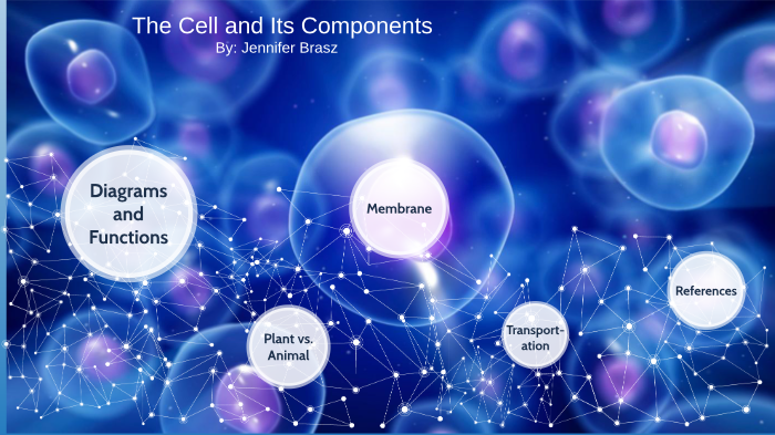 The Cell and Its Components by on Prezi