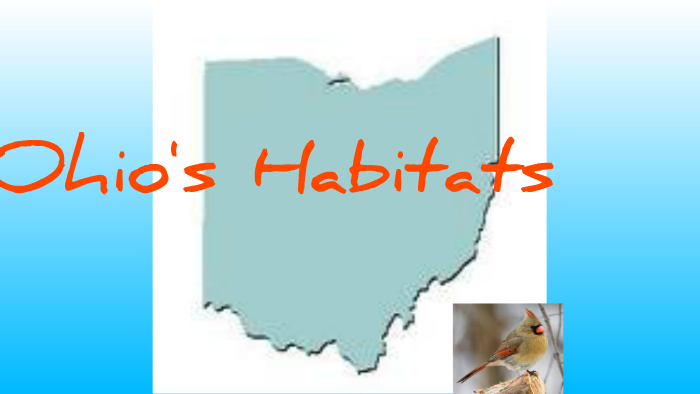 Ohio Habitats by Christina Godsey on Prezi