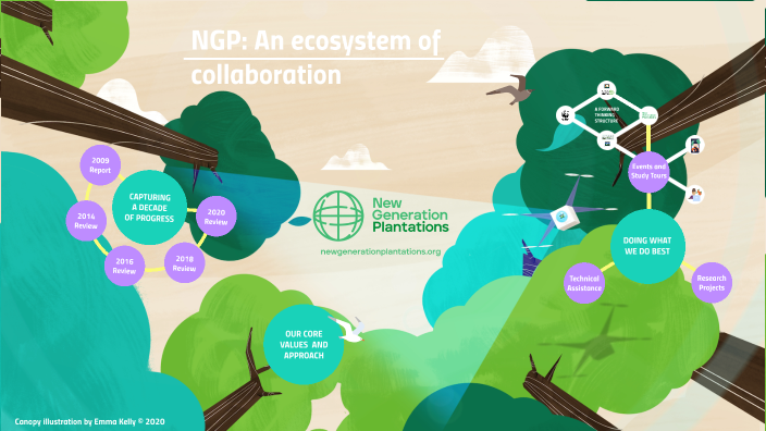04 12 Ngp An Ecosystem Of Collaboration By James Thomson On Prezi