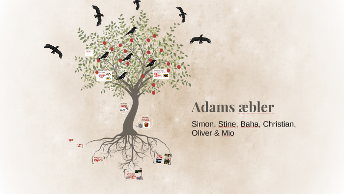 Adams æbler by Stine Holm Rasmussen on Prezi