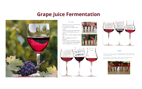 Grape Juice Fermentation by Blanche L on Prezi