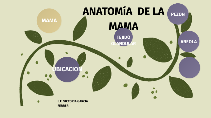 ANATOMIA DE MAMA by Victoria Garcia Ferrer on Prezi
