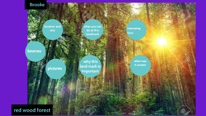 Brooke redwood forest by Jessica Jurkowski on Prezi