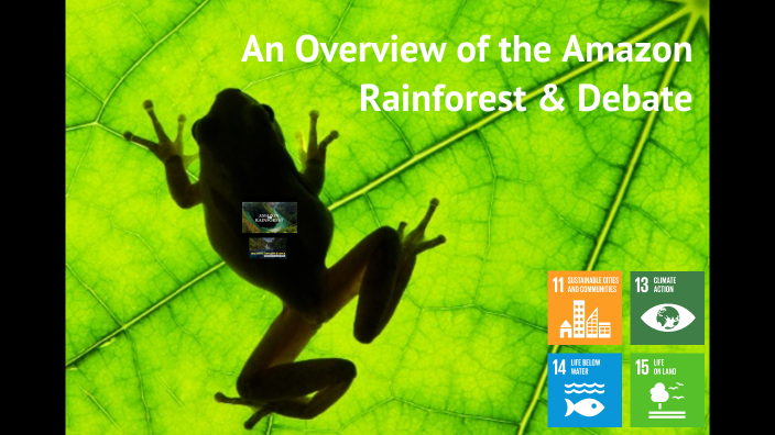 Introduction to the Amazon Rainforest by Ryan Churchward on Prezi