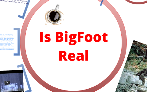 Bigfoot by Tabitha Newton on Prezi
