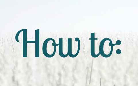 How to: Take the Perfect Picture by Breea Guttery on Prezi