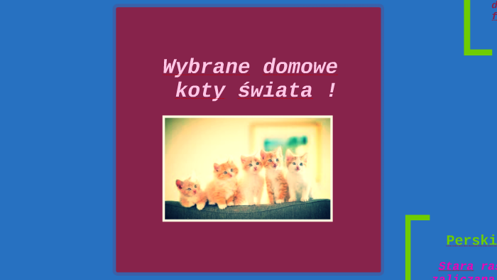 Wybrane koty świata ! by Marta Strzelczyk on Prezi