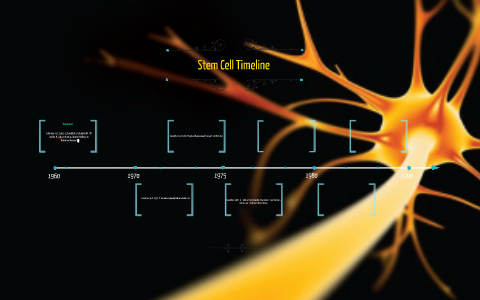Stem Cell Timeline by Grecia Guapillo on Prezi Next