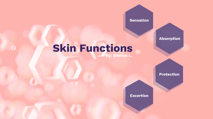 Skin Functions by Denise Lopez on Prezi