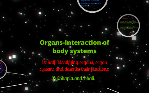 Organs-Interactions of body systems by Shania Benish on Prezi