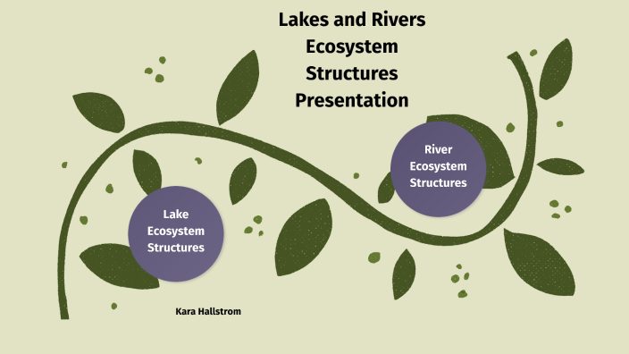 Lakes and Rivers Ecosystem Structures by Kara hallstrom on Prezi