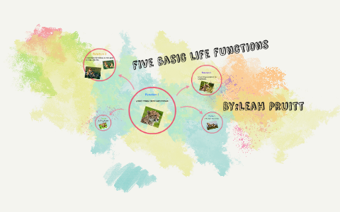five basic life functions by REBECCA BAGGETT on Prezi