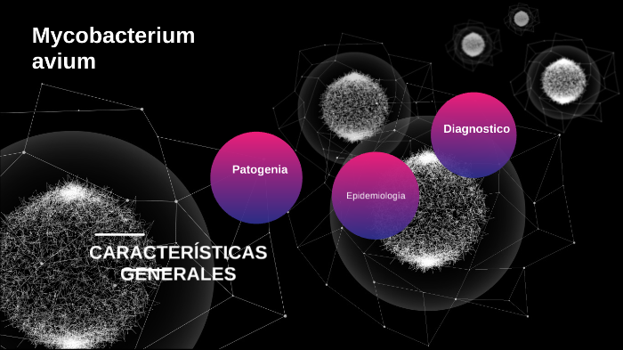 Mycobacterium Avium by Elizabeth Pérez on Prezi