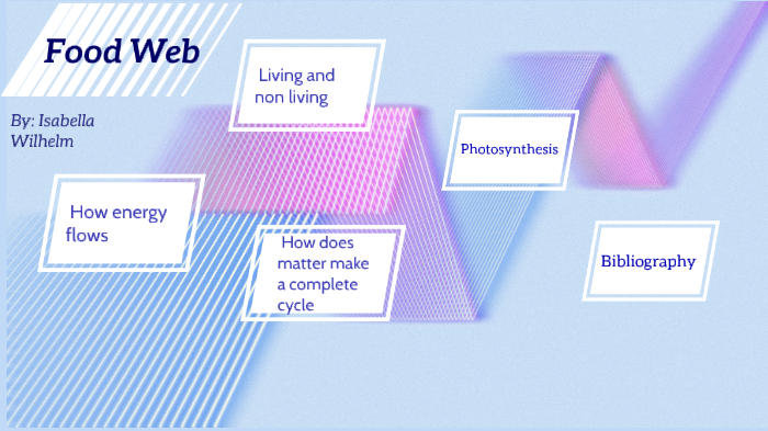 Food Web Writing by Isabella Wilhelm on Prezi
