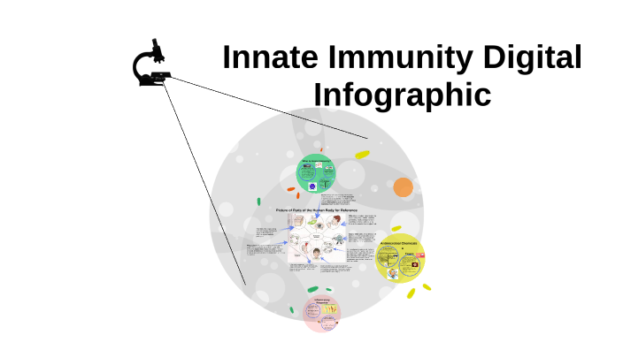 Innate Immunity Digital Infographic by Antonio Mestanza on Prezi