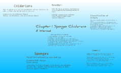 Chap1 Sponges Cnidarians & Worms by Brooke Kuby on Prezi