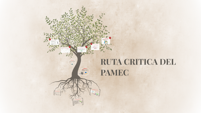 RUTA CRITICA DEL PAMEC by lyslebeth rueda florez on Prezi