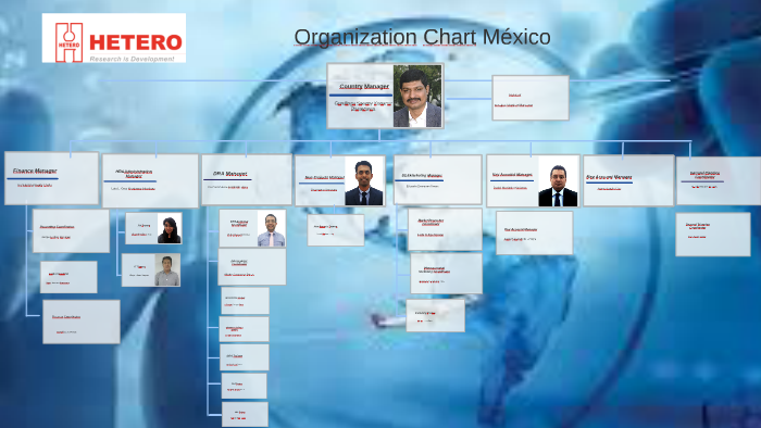 Organization Chart México by Amarox Pharma on Prezi