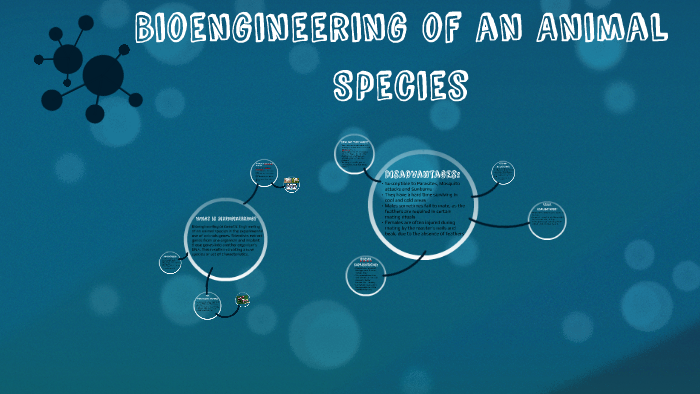 Bioengineering of an Animal Species by samantha ragasa on Prezi
