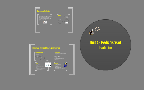 A.P. Biology Unit 4: Mechanisms of Evolution by Avery Wolf on Prezi