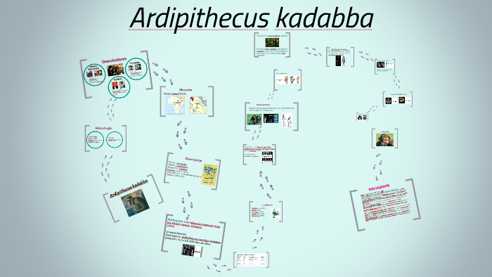 Ardipithecus kadabba by Juany García on Prezi