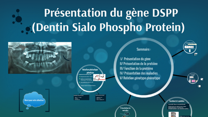 Présentation du gène DSPP by Danyal Fidahoussen on Prezi