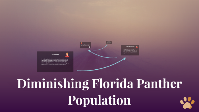 Diminishing Florida Panther Population by Dylan Weand on Prezi