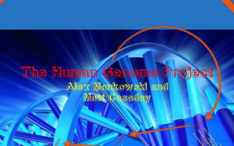 Human Genome Project by Alex Mankowski on Prezi