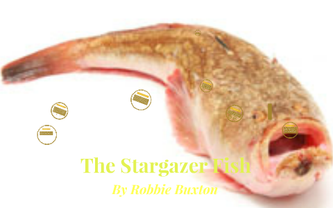 The Stargazer by Robbie Buxton on Prezi