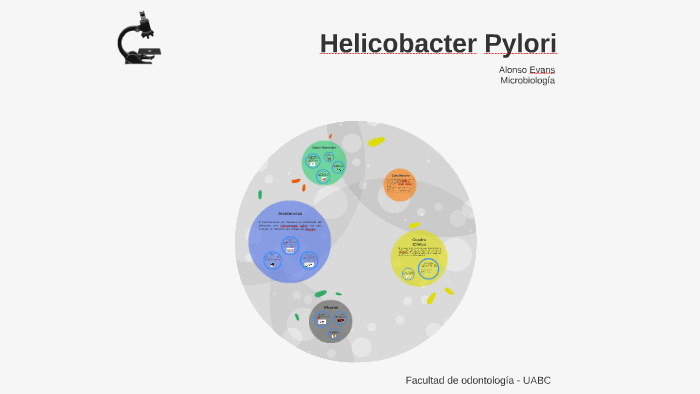 Helicobacter Pylori by Alicia Ahumada on Prezi