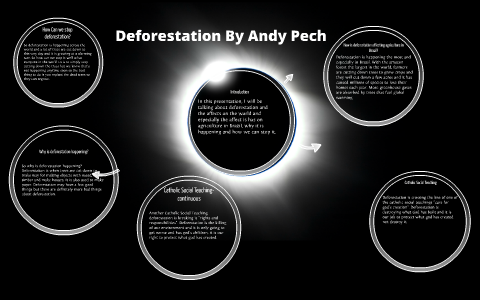 Deforestation by Andy Pech on Prezi