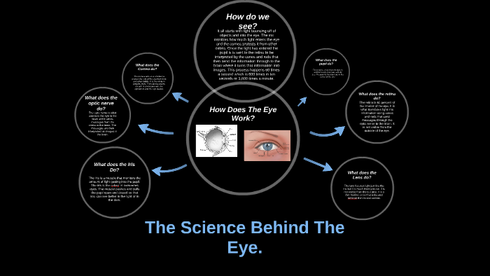 The Science Behind the Eye. by jim jessep on Prezi