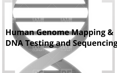 Human genome maping and DNA testing and sequencing by Kali Koompin on Prezi