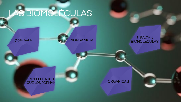 LAS BIOMOLÉCULAS by Cristina Lucena on Prezi