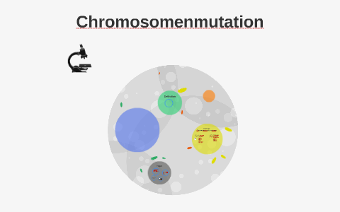 Chromosomenmutation by katerina grigoriadou on Prezi