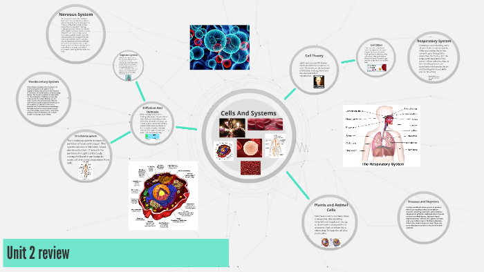 Cells And Systems by Daniel Berhe on Prezi