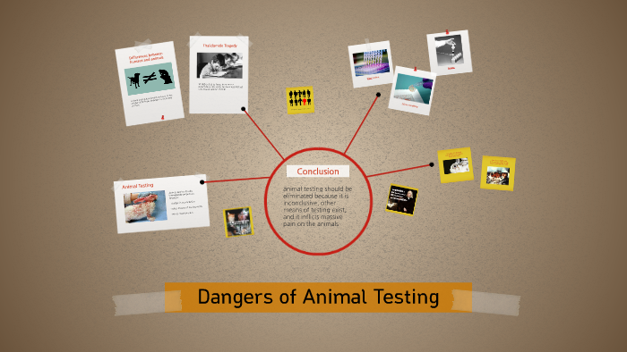 Dangers of Animal Testing by Chae Yeon Kim on Prezi
