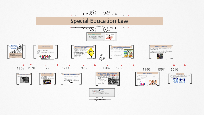 Special Education Law by Molly Echols