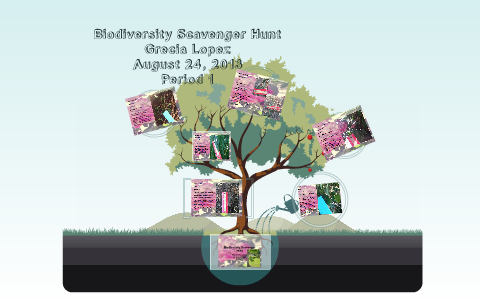 Biodiversity Scavenger Hunt by Grecia Lopez on Prezi