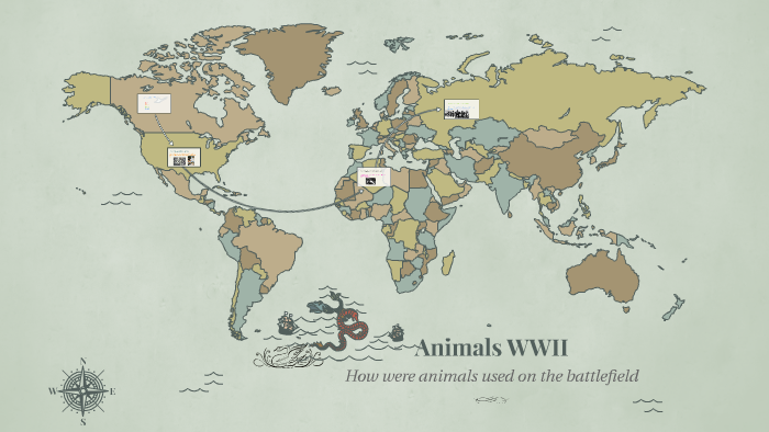 Animals WWII by Richie Dechau on Prezi