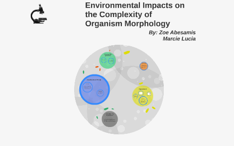 Environmental Impacts on the Complexity of Organism Morphology by Zoe ...