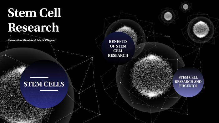 Stem Cell Research MIOSKIE/WAGNER by Mark Wagner on Prezi