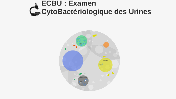 ECBU : Examen CytoBactériologique des Urines by Dylan Poiraudeau on Prezi