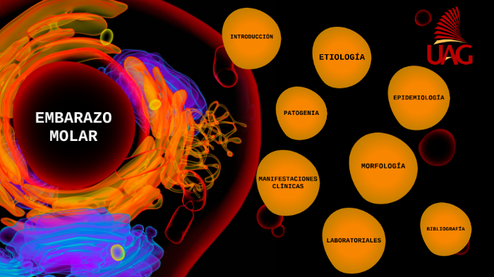 Embarazo Molar by Ana Luisa Hernandez on Prezi