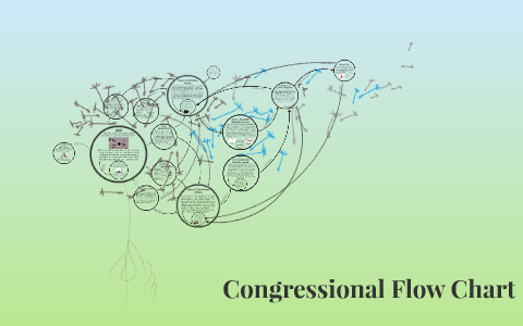 Congressional Flow Chart by M Hartrich on Prezi