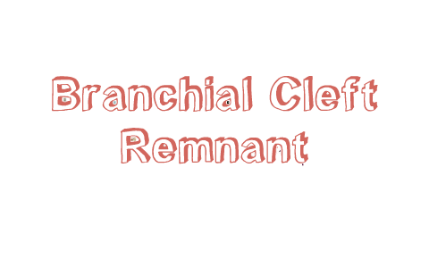 Branchial Cleft Remnant by Rachel Klee on Prezi