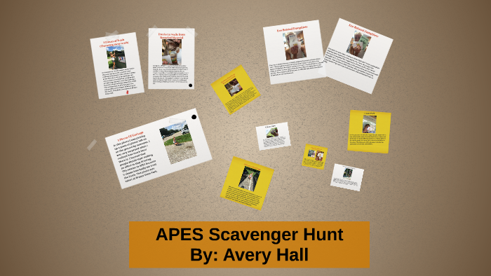 APES Scavenger Hunt by avery hall on Prezi