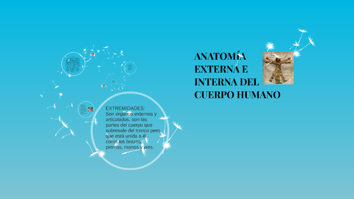 ANATOMÍA EXTERNA E INTERNA DEL CUERPO HUMANO by Érika Alvez on Prezi