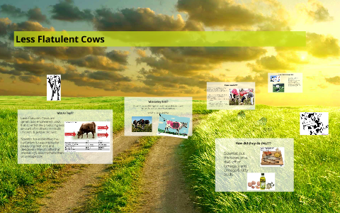 Less Flatulent Cows by kendal roberts on Prezi