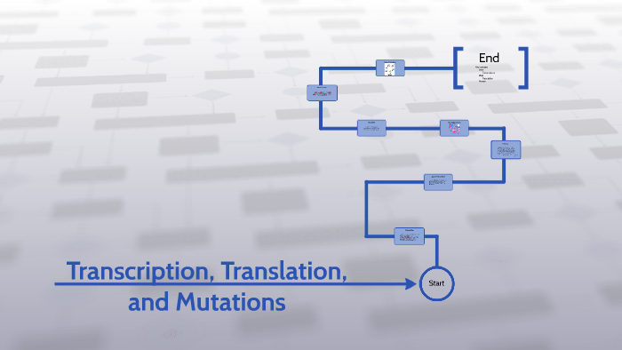 Transcription, Translation, Mutations by Ana Cabrera on Prezi